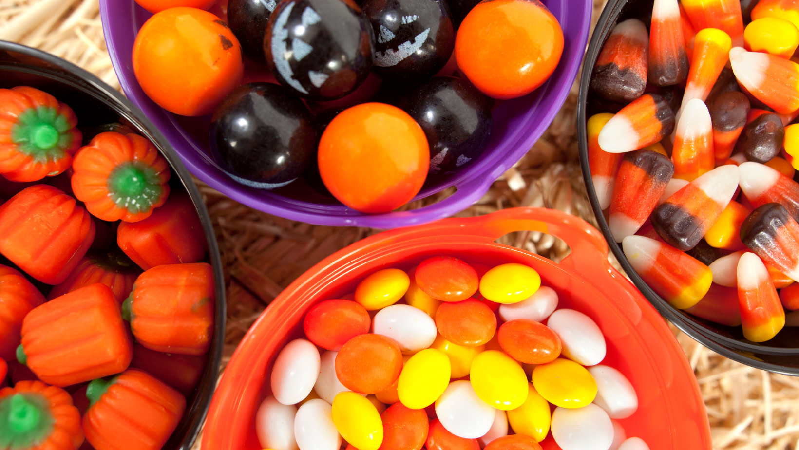 eco-friendly halloween Archives - I Love A Clean San Diego