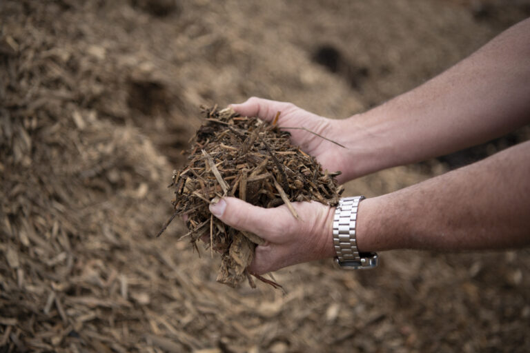 City of San Diego Free Compost and Mulch - I Love A Clean San Diego